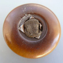 Vegetable Ivory Buttons 2